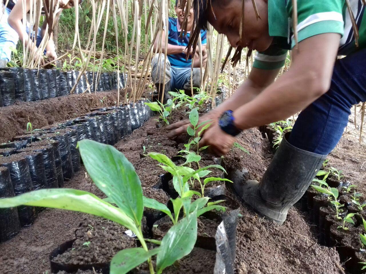 Guatemala LIFE: A Flagship Program for Sustainable Change