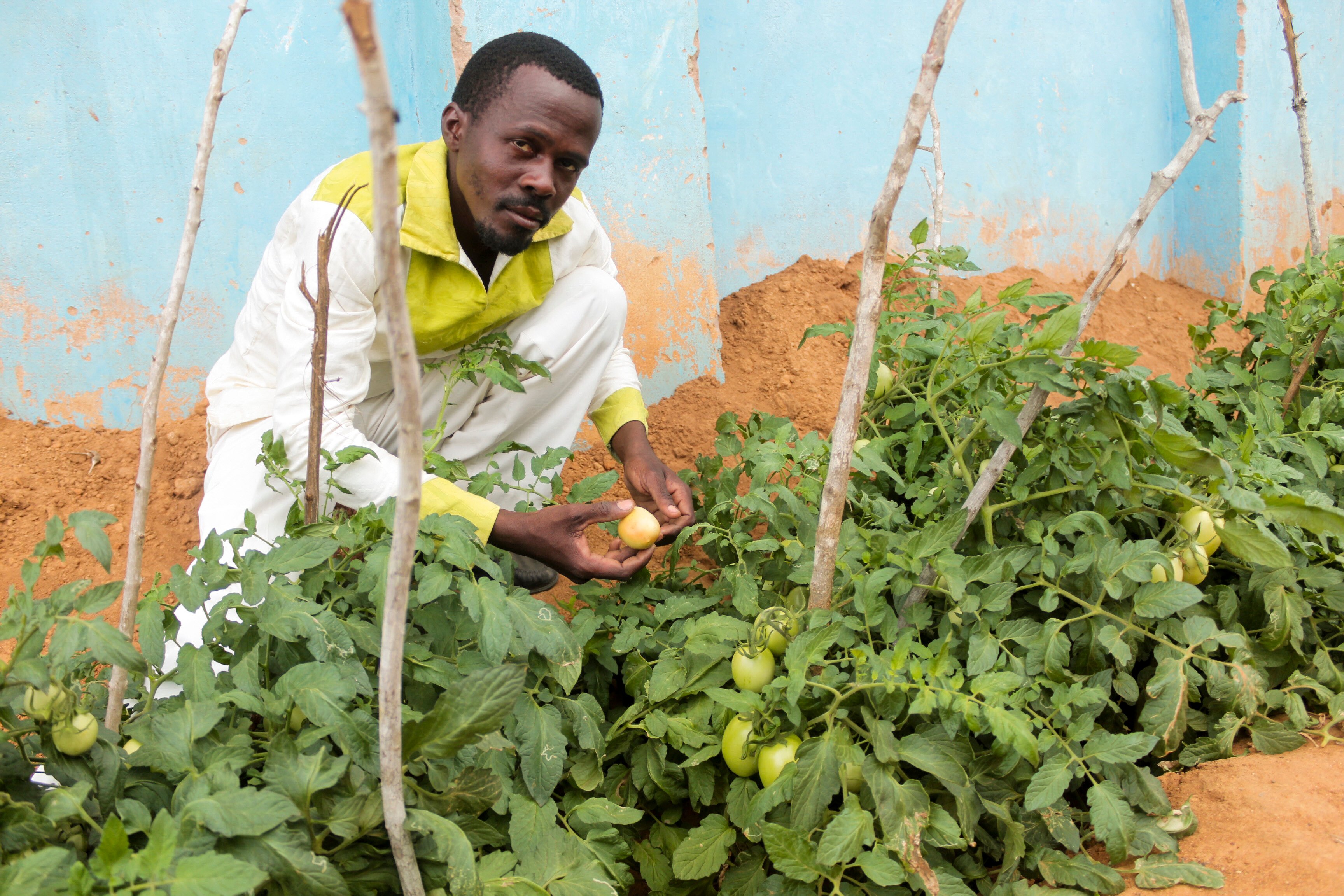 Training Farmers to Boost Yields and Build Income